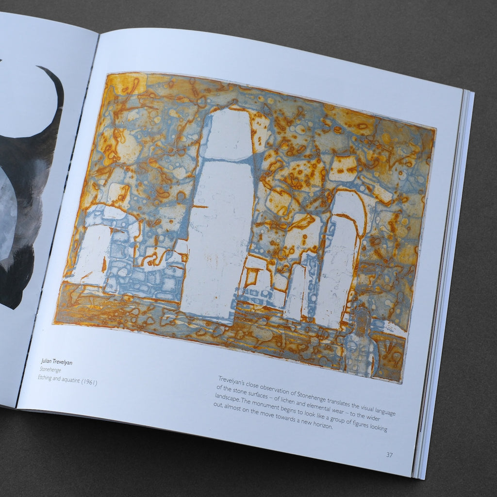 Downland | Rose Ferraby | St. Jude's Prints