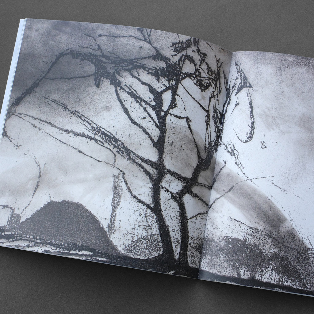Downland - Rose Ferraby– St. Jude's Prints